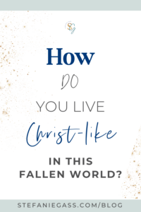 How to Live as Christians in a Fallen World: From Romans 12